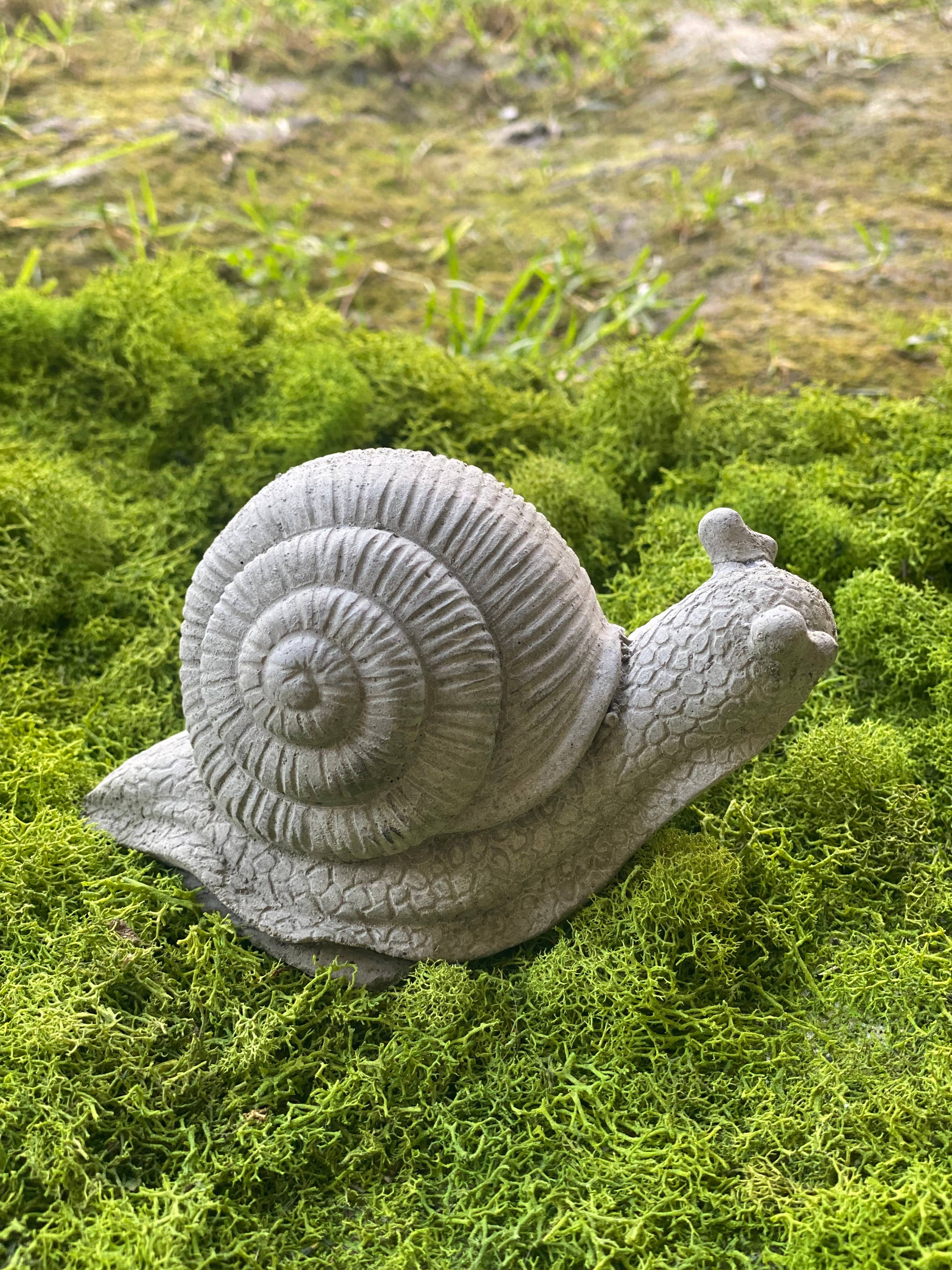 Concrete Snail Statue Figurine | Backyard Supply